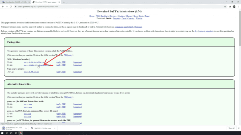 VPS Connecting using WinSCP and Putty Terminal - Newtum