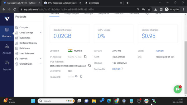 How to Connect to a Vultr Server Instance Using WinSCP and Putty - Newtum