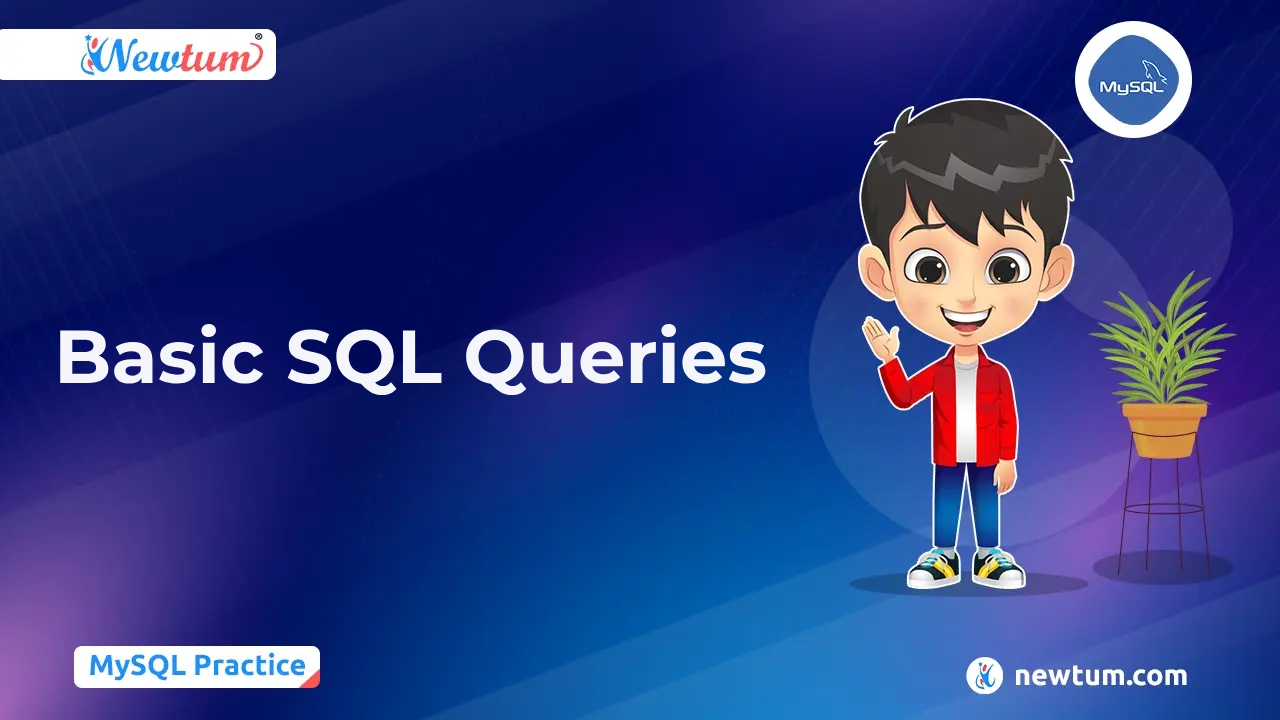 Basic SQL Queries - Newtum